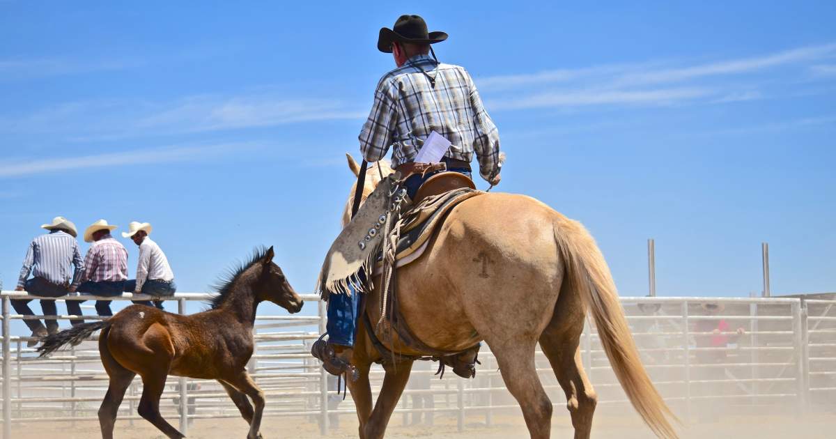 Plan Your Trip to Flagstaff, Arizona - Discover Flagstaff