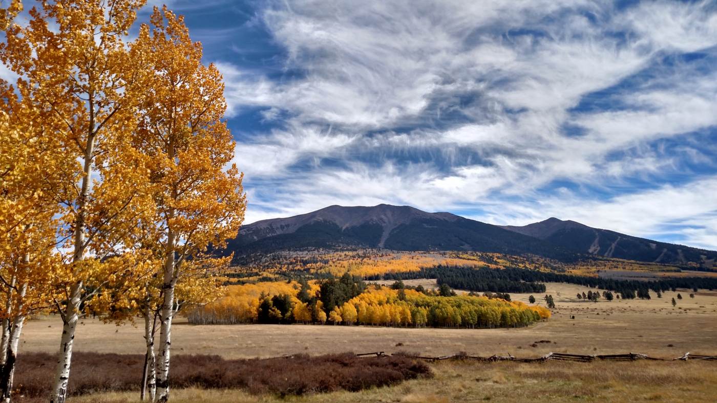 Fall 2025 in Flagstaff: Things to Do & Events | Discover Flagstaff